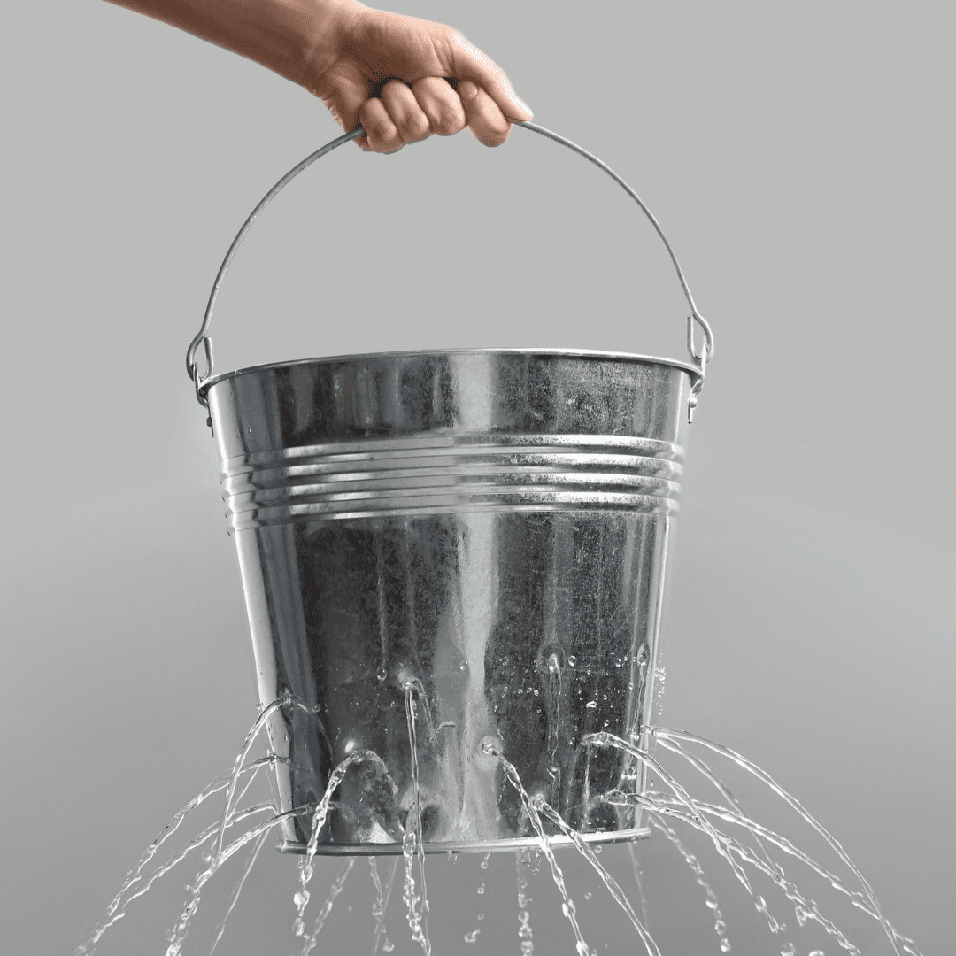 HOLE IN THE BUCKET | Vivian Cumins